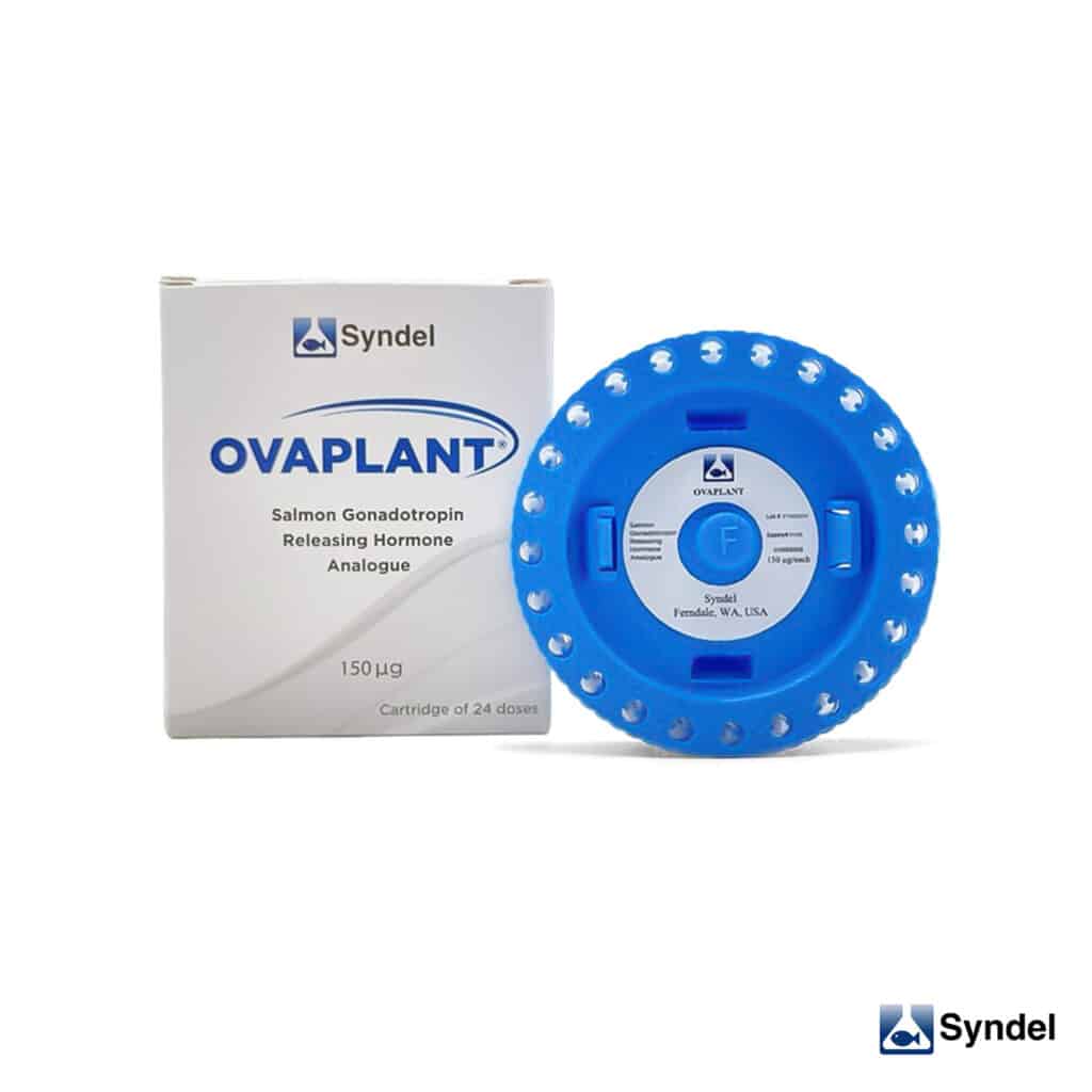 Syncaine® MS-222 Fish Anesthetic | Syndel