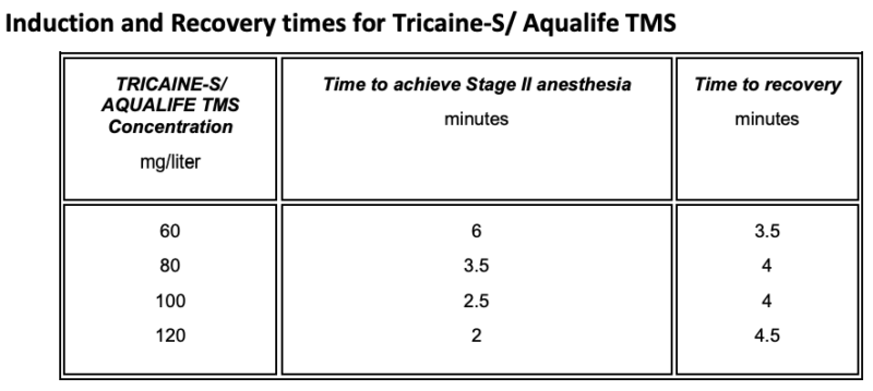 Syncaine (FormerlyTricaine-S and MS 222) | Disease Treatment