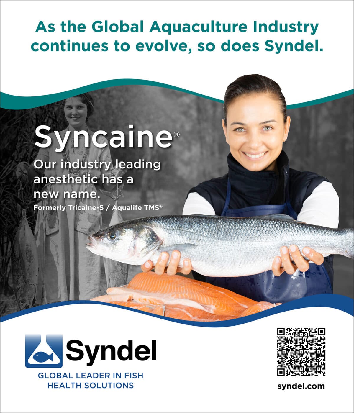 Syndel’s key fish anesthetic has a new name - Syncaine! - Syndel